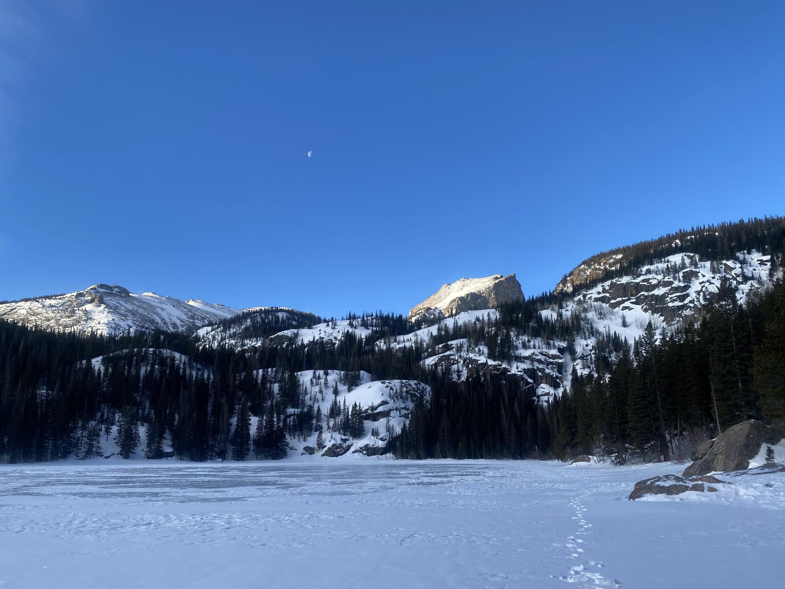 From service to stewardship: Edward B. Danson Award winner Tom Medema in conversation | Western ...